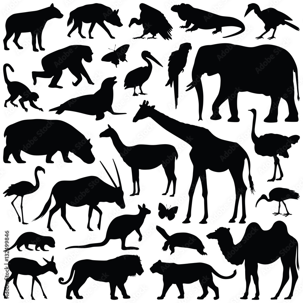 Zoo animals collection - vector silhouette Stock Vector | Adobe Stock