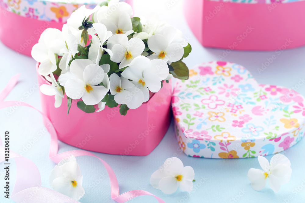 Bouquet of beautiful white viola flowers in a heartshape gift box Stock ...