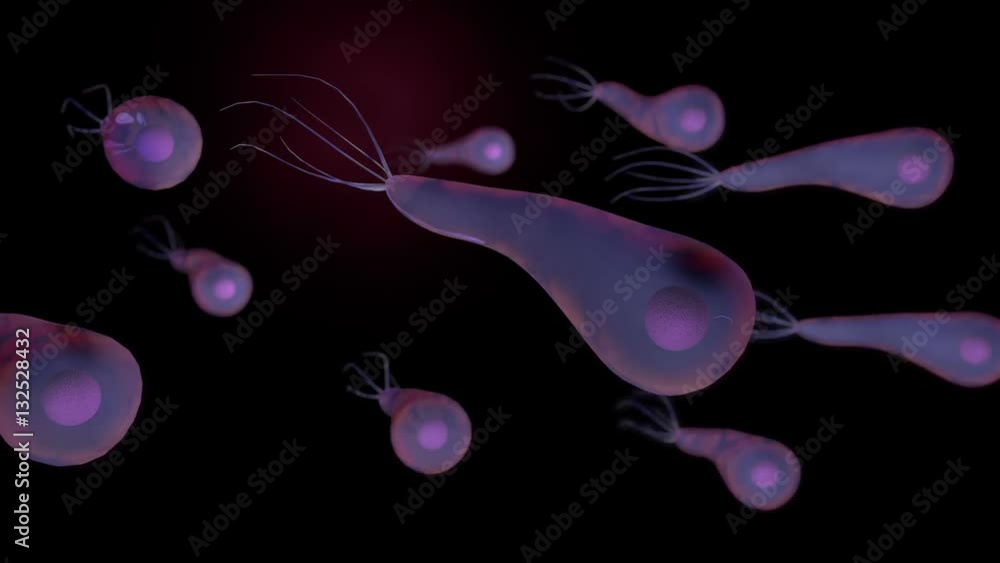 Clostridium tetani bacterium. 3d bacteria model of tetanus disease ...