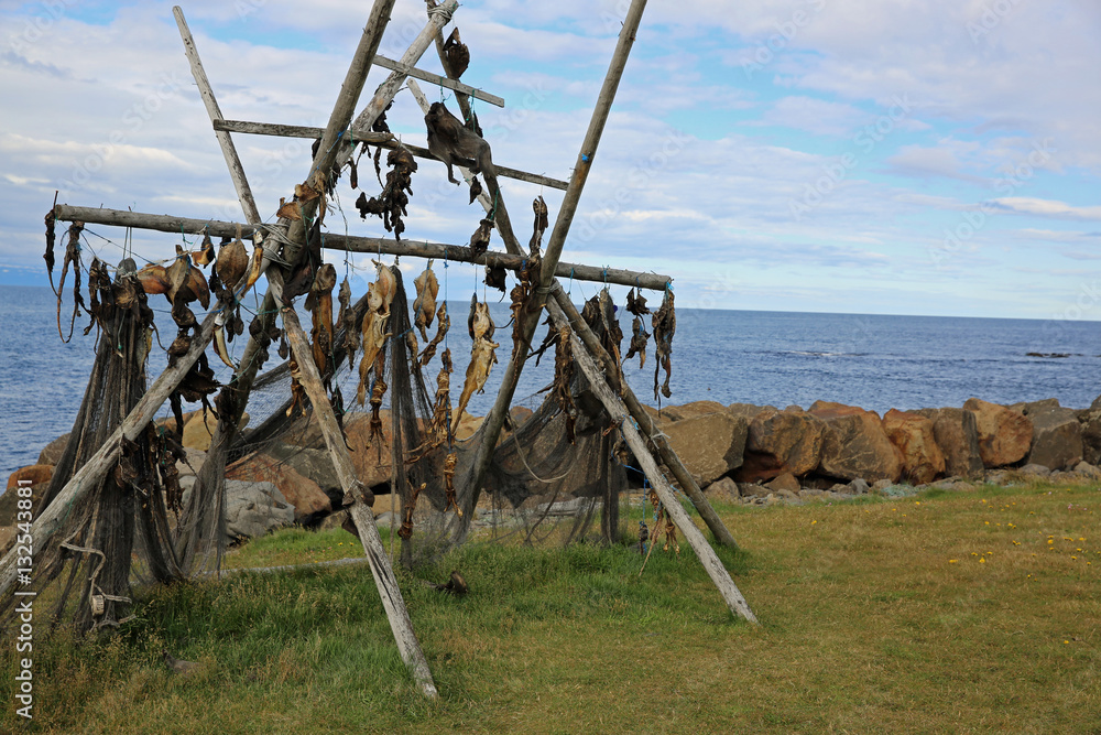 Stockfisch in Island Stock-Foto | Adobe Stock
