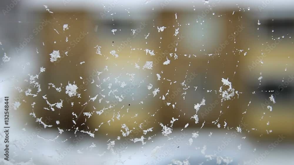 Snowflakes trapped in a cobweb blowing in the wind Stock Video | Adobe ...
