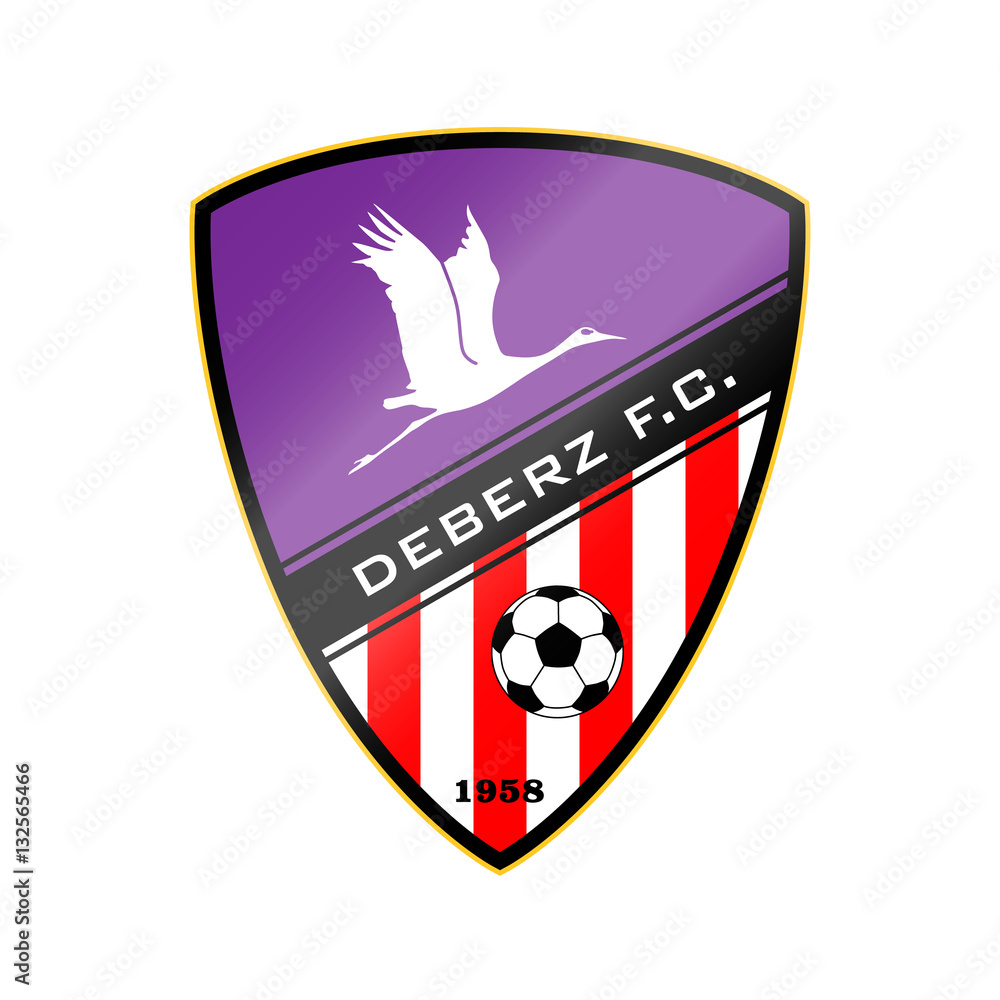 Football team logo. The name and color - fictitious, Here can be name ...