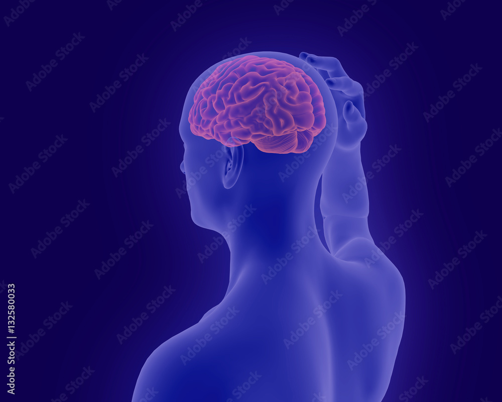 headache x-ray scan of human body with visible brain 3d render Stock ...