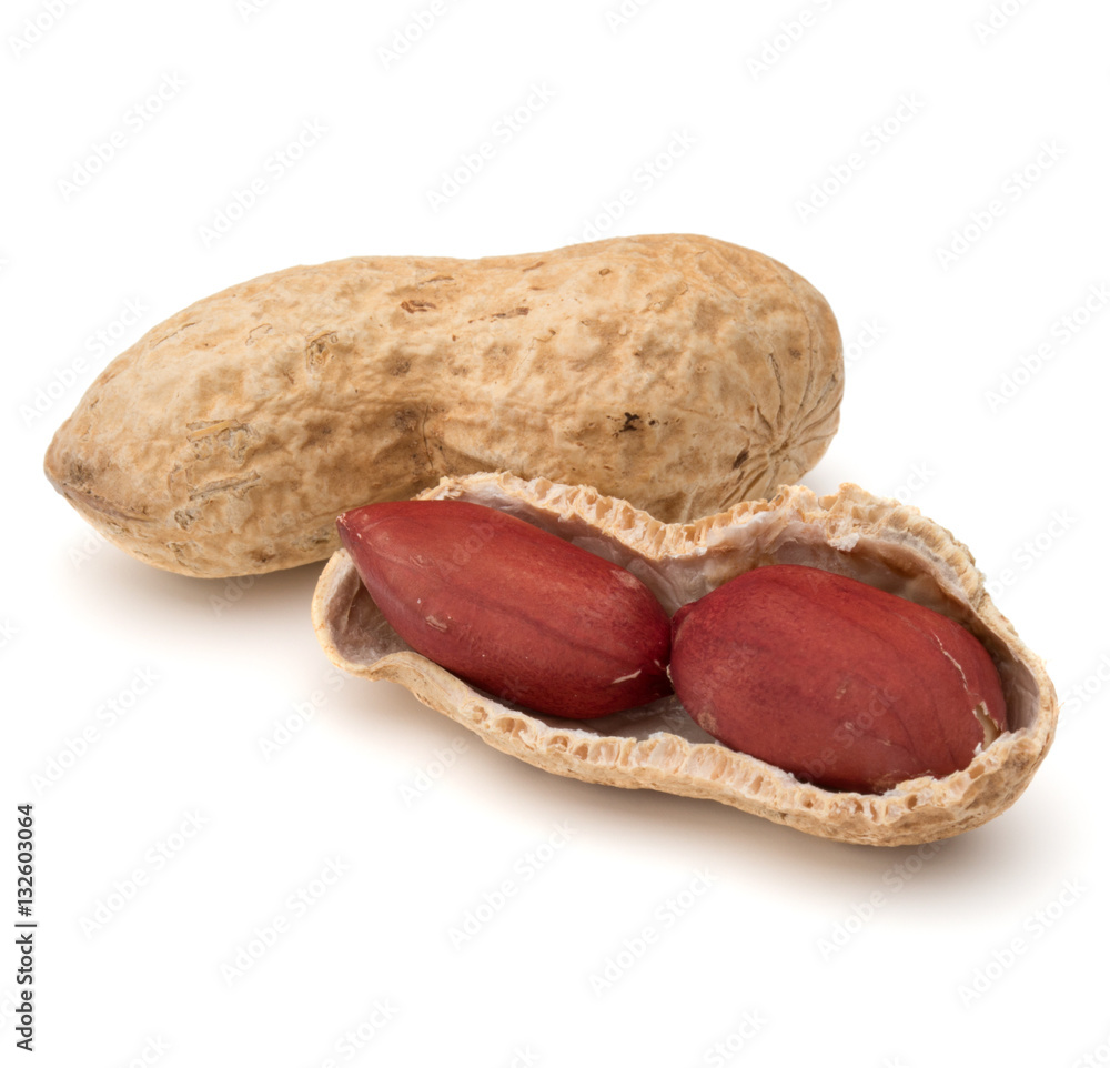 Opened and whole peanut or groundnut pod isolated on white backg Stock ...