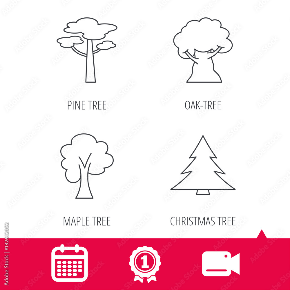 Achievement and video cam signs. Pine tree, maple and oak-tree icons ...