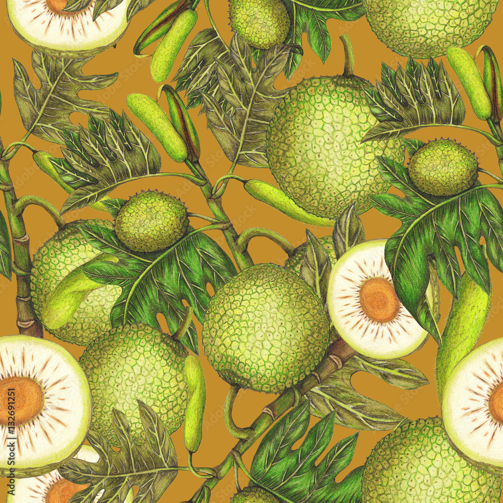 Seamless pattern of hand drawn breadfruit Stock Illustration | Adobe Stock