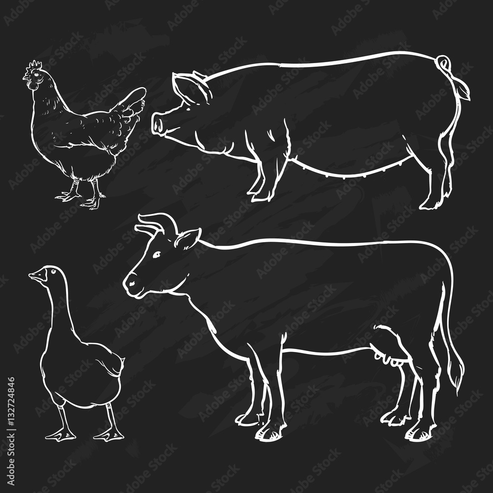 Duck and chicken isolated on a black background, Hand drawn vector clip ...