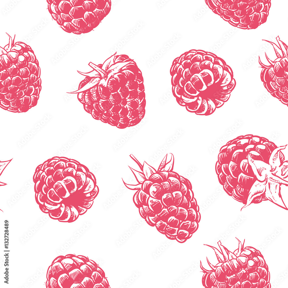 Raspberry pattern including seamless on white background. Hand d Stock ...