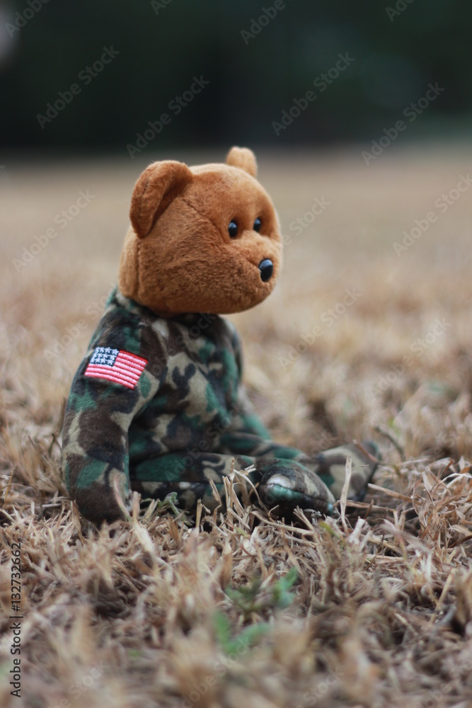 Teddy, bears, wearing a military uniform, the US flag, and look seat ...