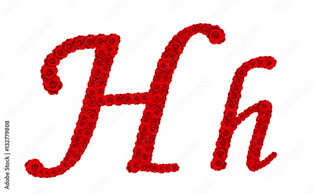 H Alphabet In Rose