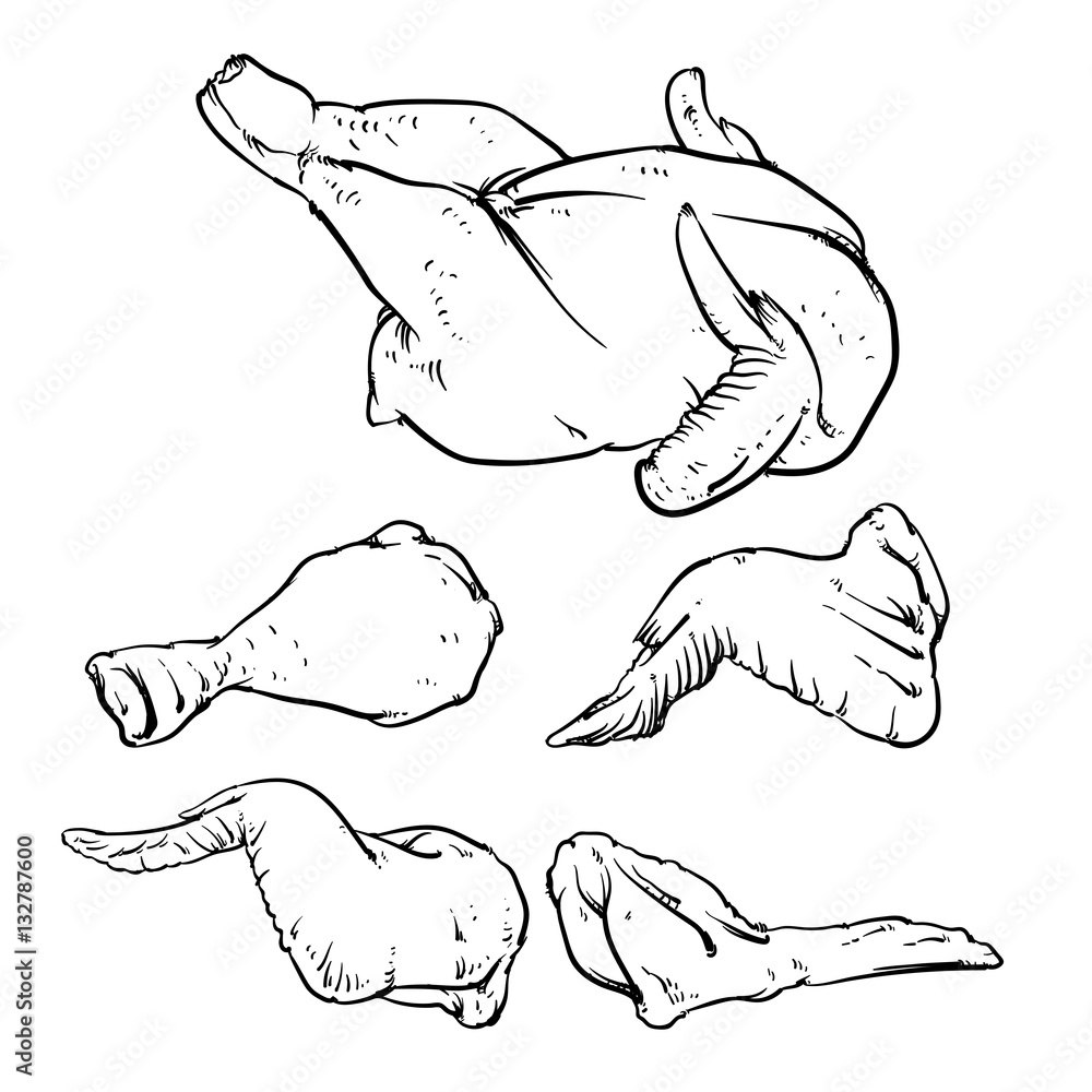 Chicken Meat Drawing