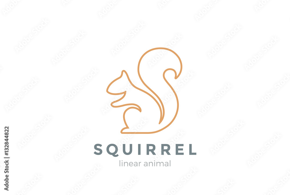Squirrel Logo design vector template Linear style Stock Vector | Adobe ...