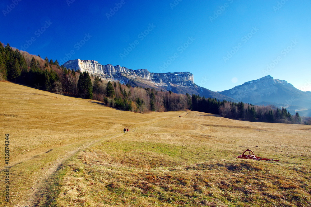 parc de la chartreuse Stock Photo | Adobe Stock
