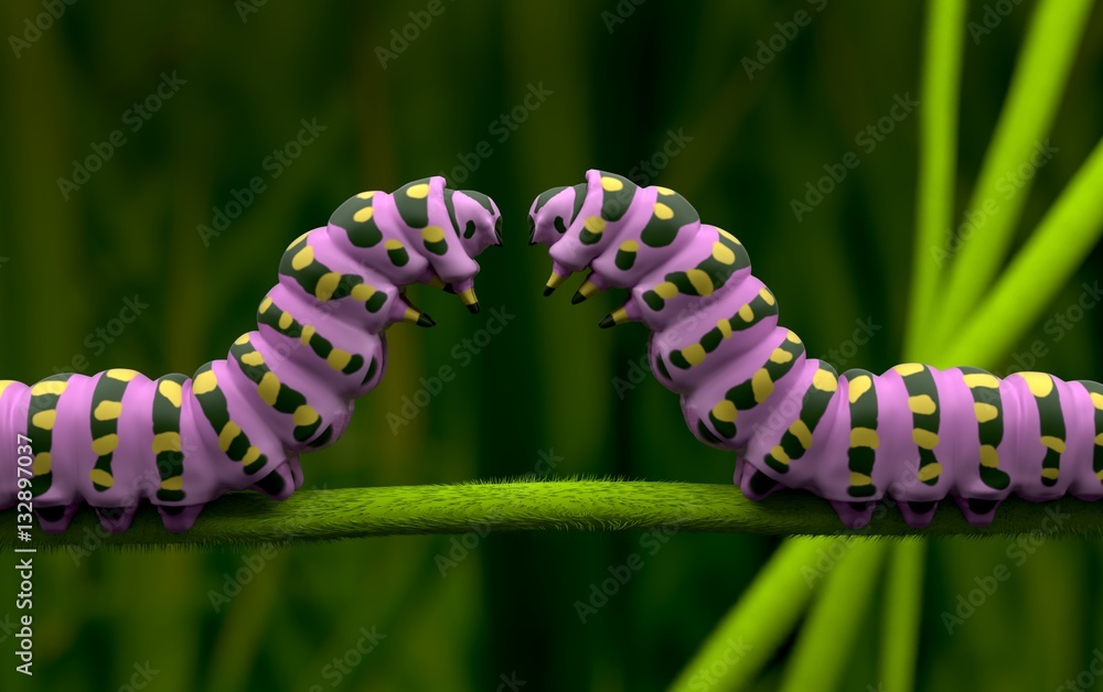 Pink Caterpillar