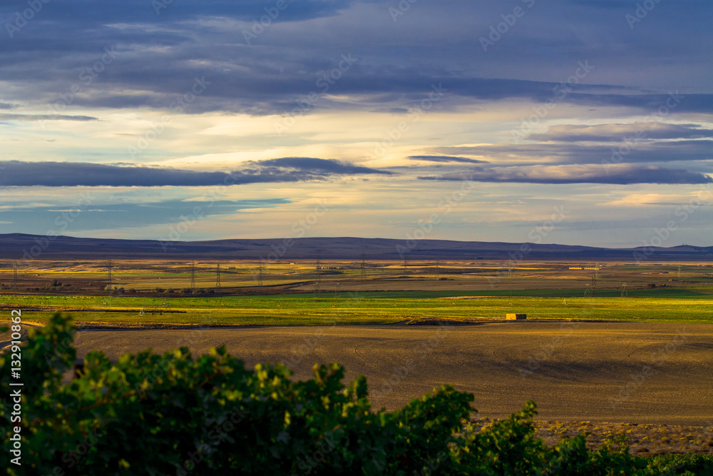Open field Stock Photo | Adobe Stock