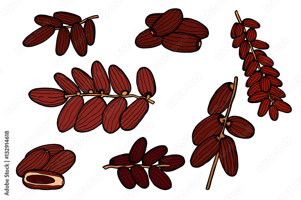 Vector illustration of dates Stock Vector | Adobe Stock