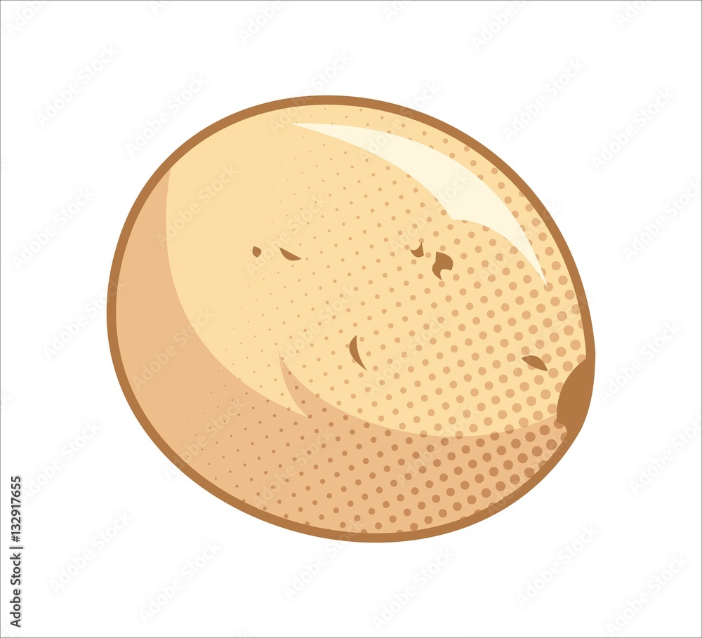 Duku Cartoon Vector Illustration Stock Vector | Adobe Stock