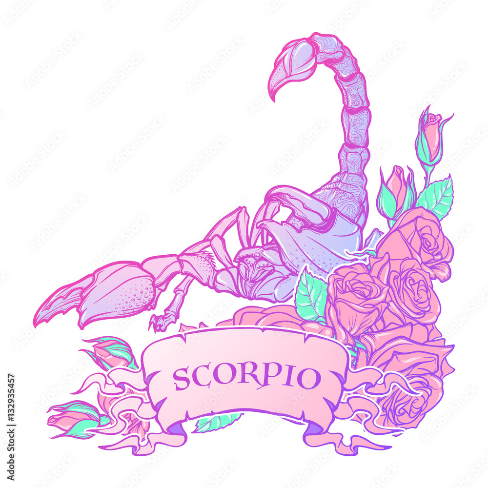 Zodiac sign Scorpio. Detailed realistic scorpio in a decorative frame ...