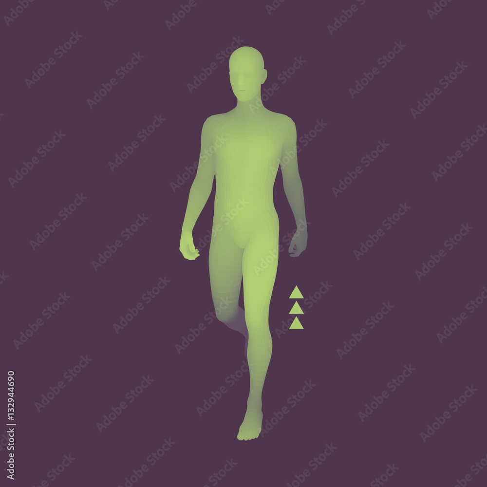 Walking Man. 3D Human Body Model. Vector Illustration. Stock Vector ...