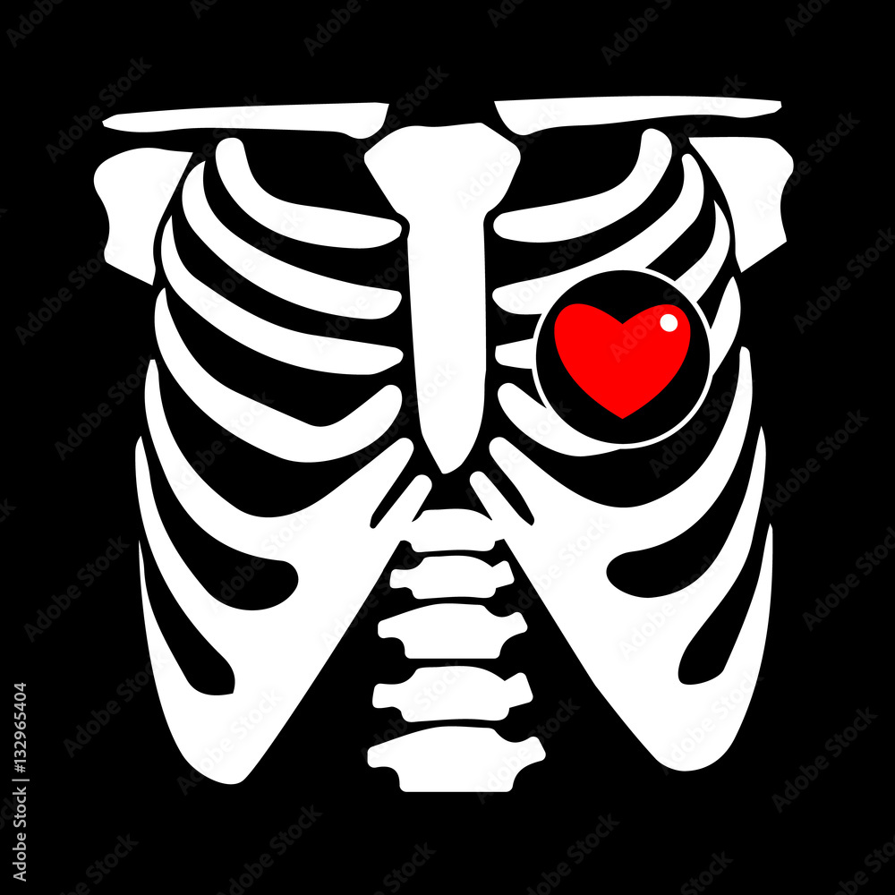 chest, rib, vector, skeleton, heart, bone, illustration Stock Vector ...