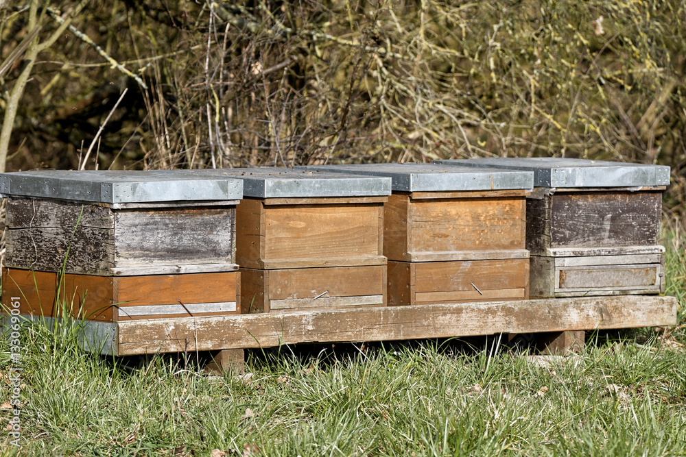 Bienenstock Stock-Foto | Adobe Stock