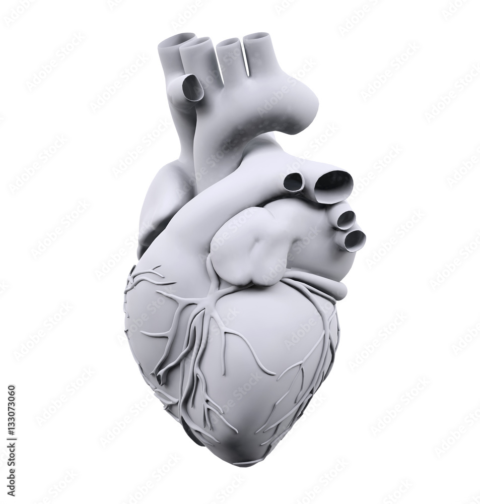 White human heart isolated on white background Stock Illustration ...