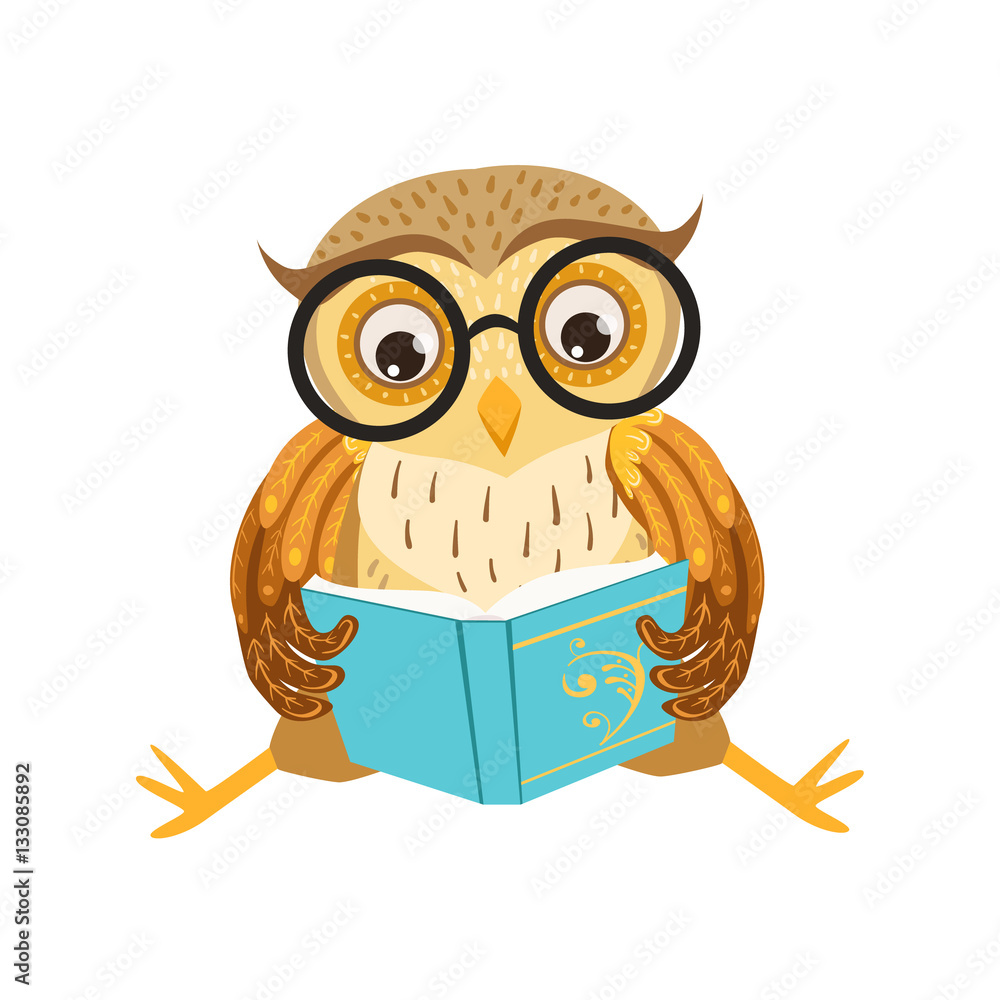 Owl Reading