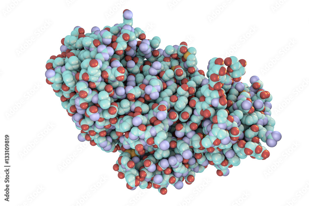 Molecule of ricin isolated on white background, 3D illustration, a ...