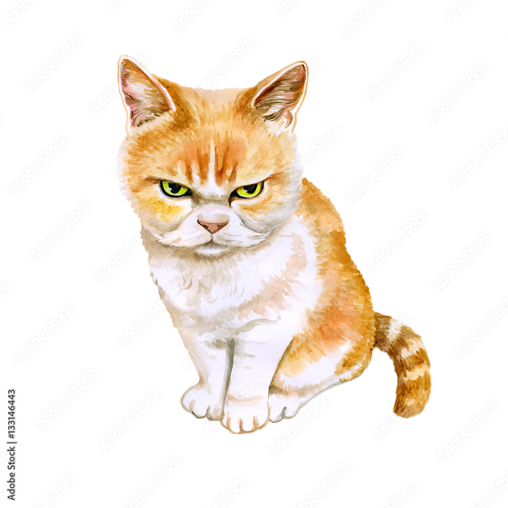 Mean Cat Clipart