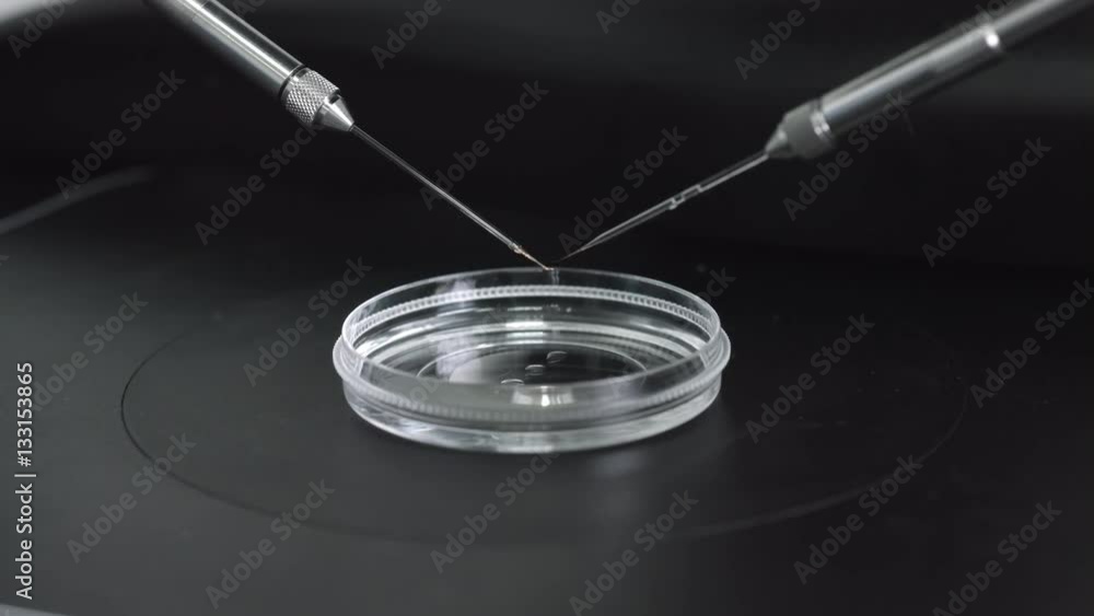 Macro shot of micromanipulator pipette set up, preparation needles for ...