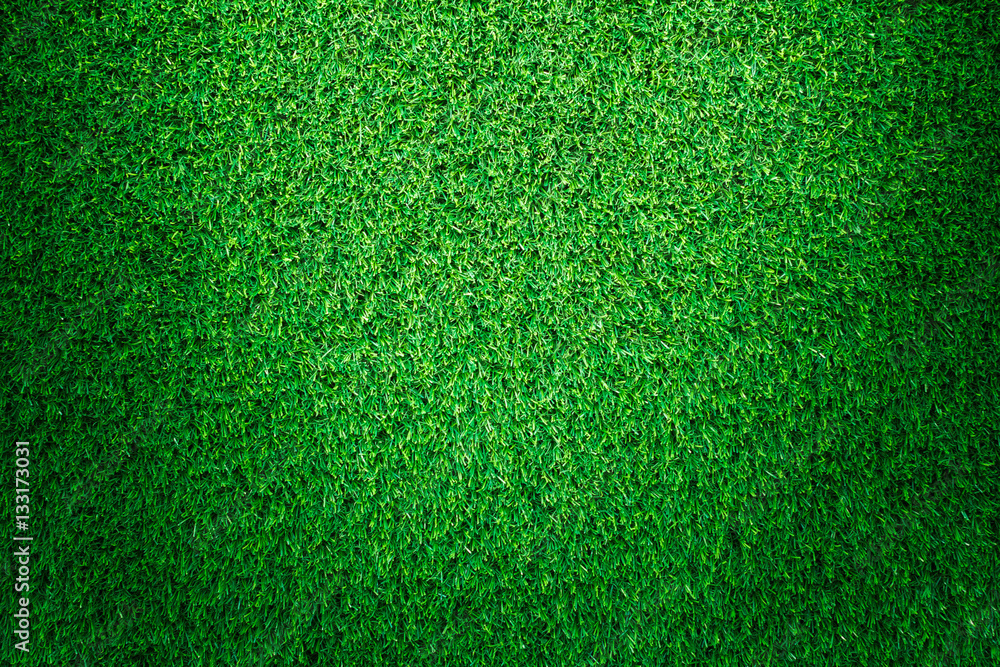 Green grass texture, grass background for design. Top view of ...