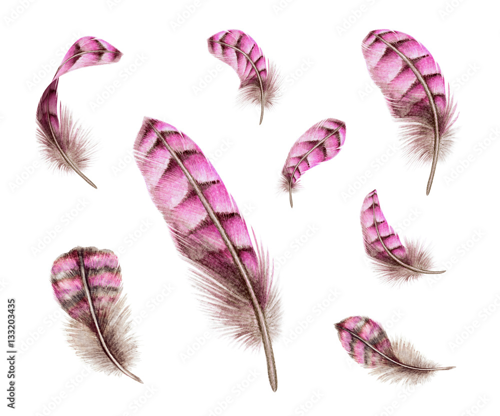 watercolor illustration, pink feather clip art, Easter design elements ...