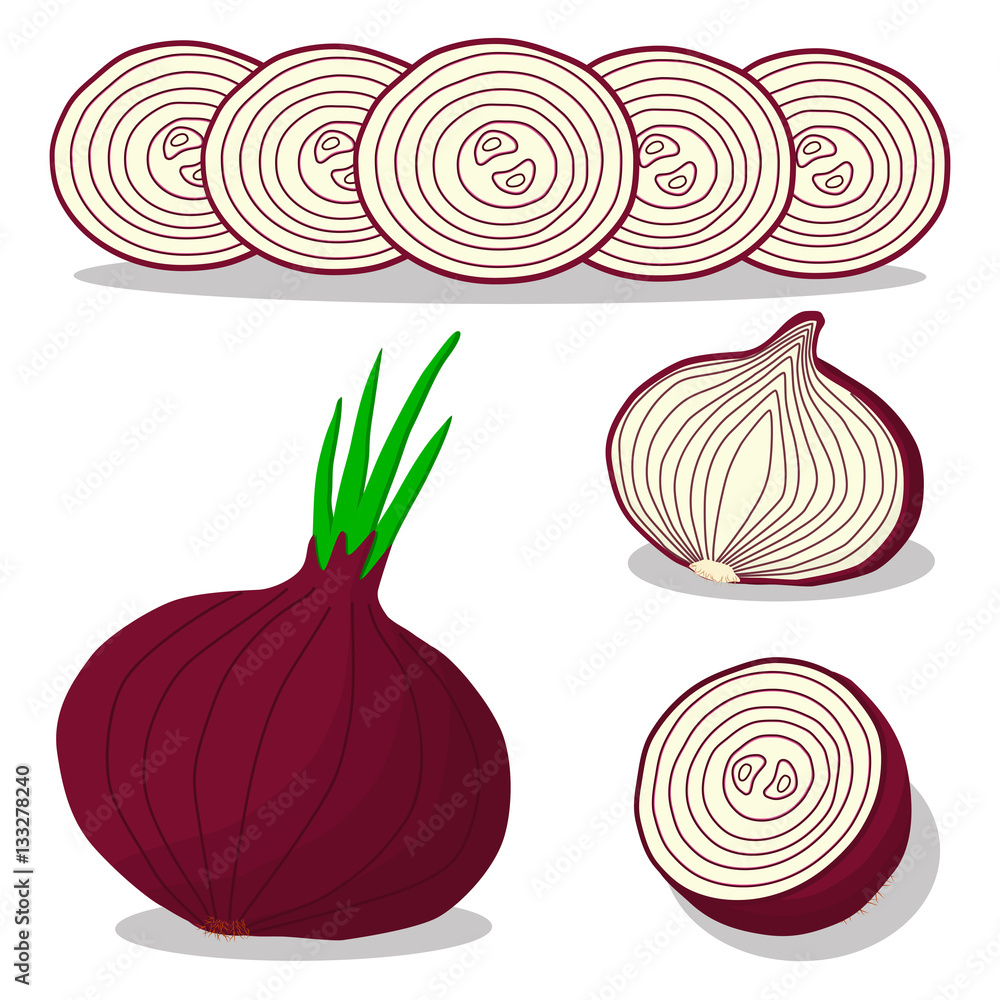 Sliced Onions Drawing