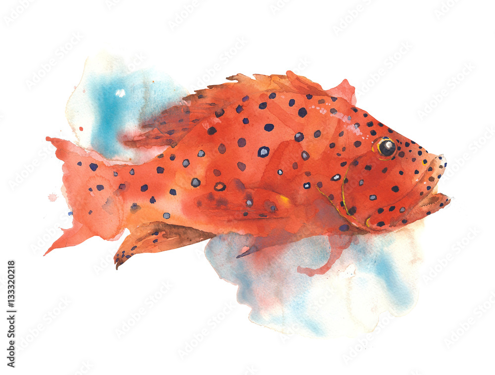 Fish tropical bright color polka dot sea creature watercolor painting ...