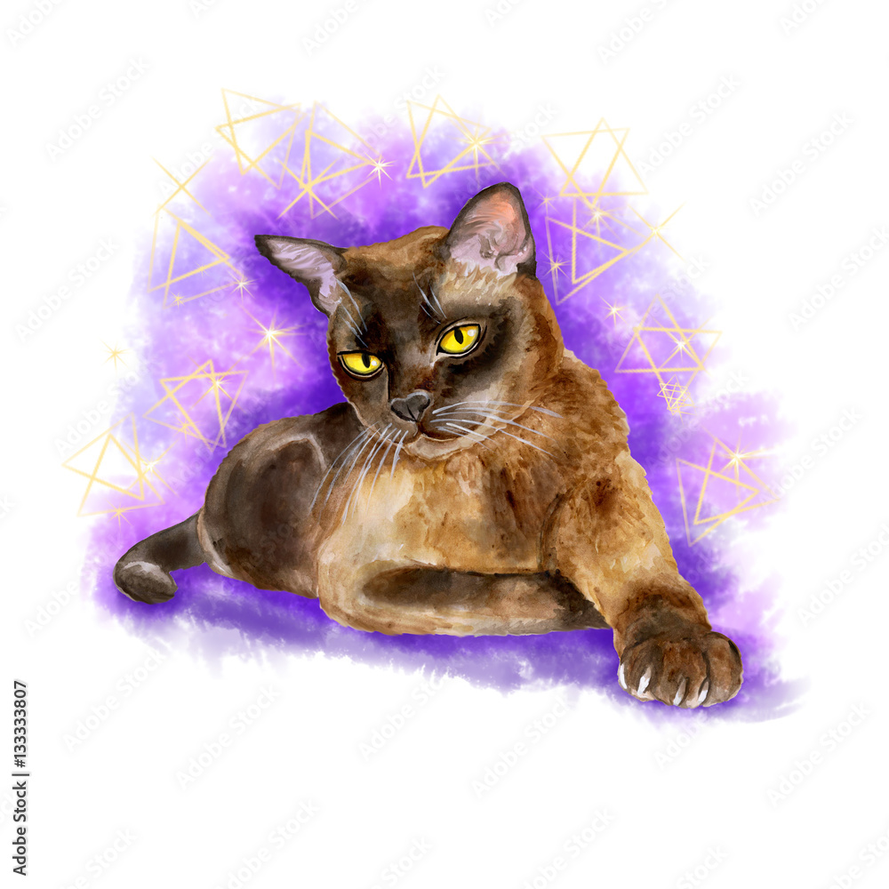 Watercolor portrait of burmese sable american cat isolated on violet ...