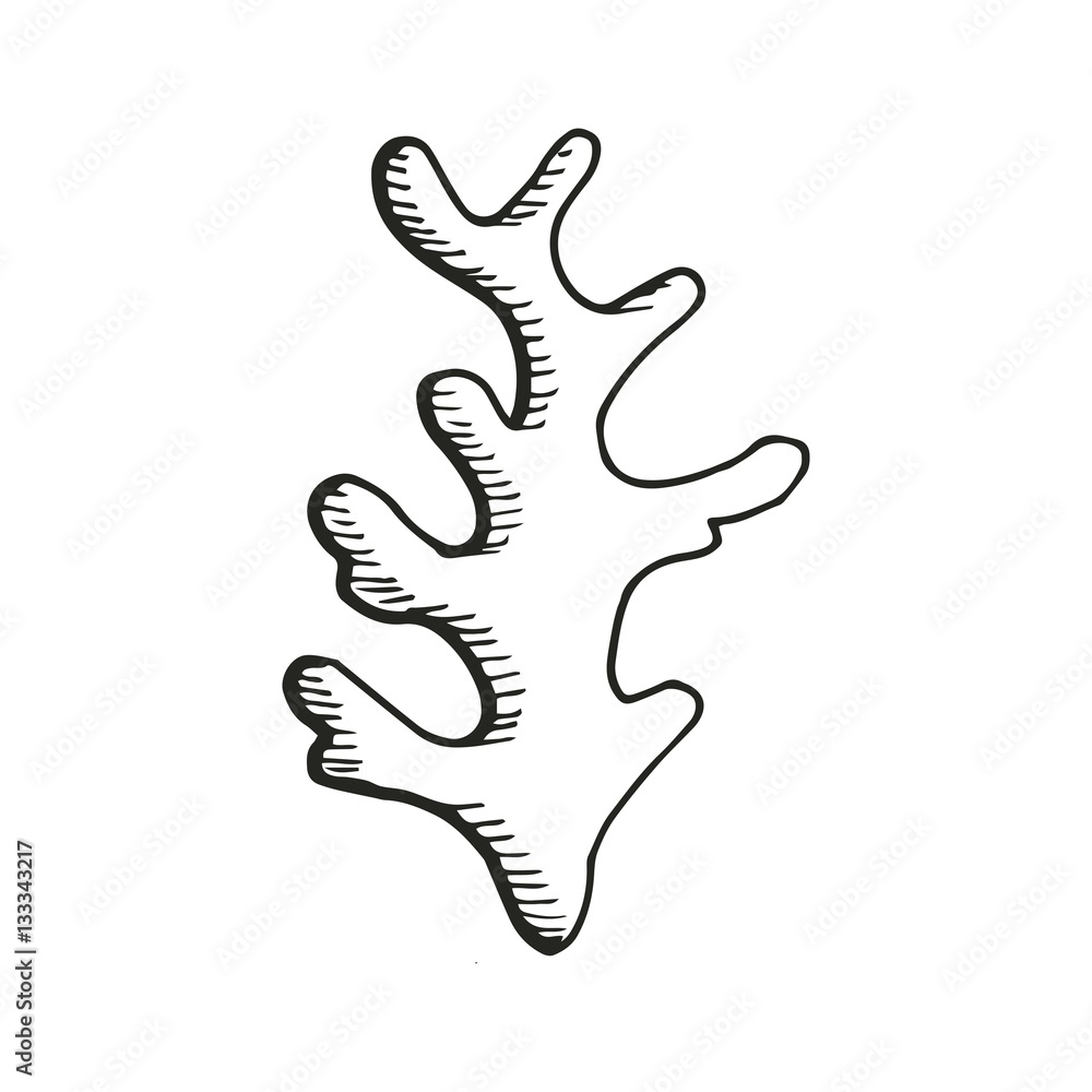 Simple Algae Drawing