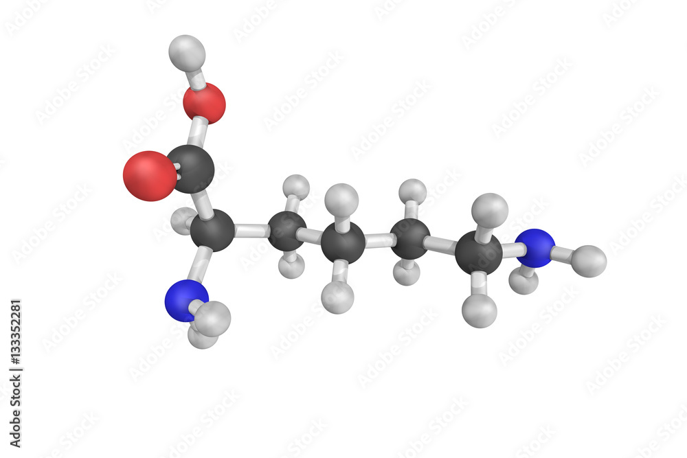DL-Lysine, a substrate of D-lysine 5,6-aminomutase, an enzyme t Stock ...