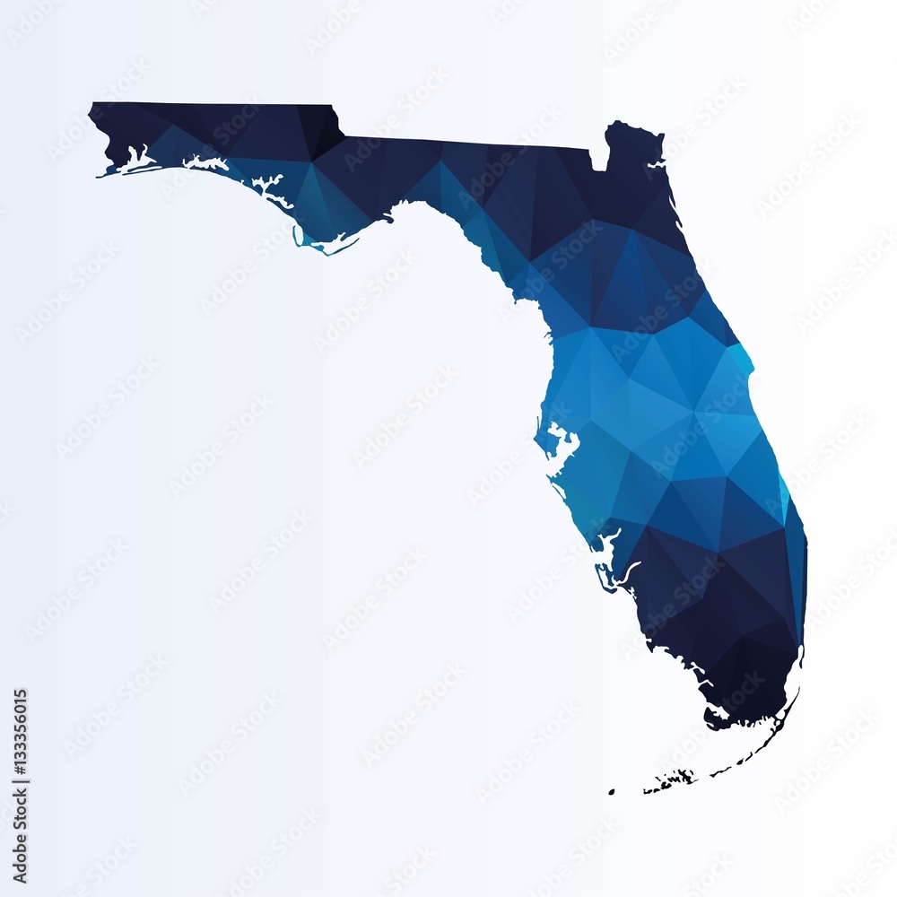 Polygonal map of Florida Stock Vector | Adobe Stock