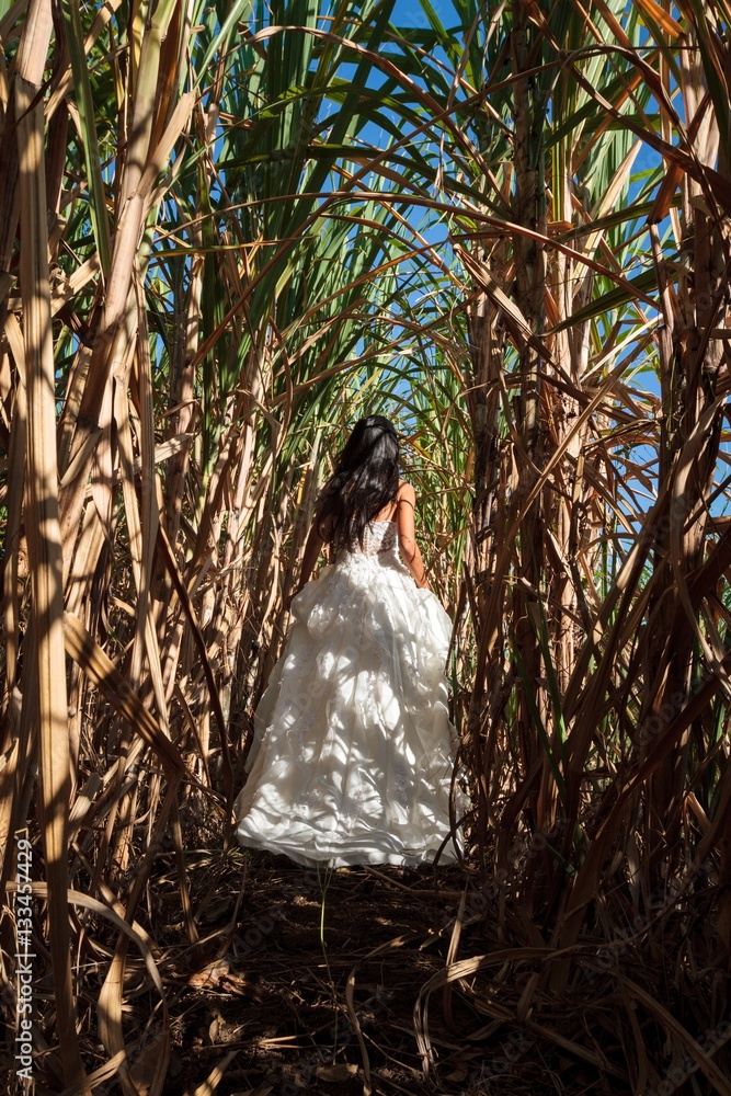 Beautiful Bride with white wedding dress in nature with sugar cane ...