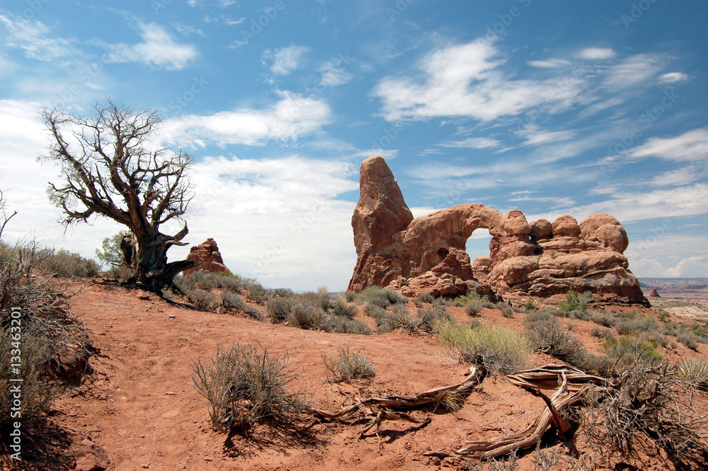 Turret Arch with lone tree on the Windows hiking trail in Arches ...