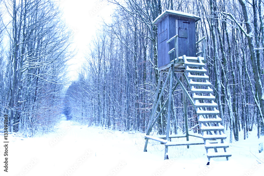 Hochsitz für die Jagd im Wald bei Schnee als blaues Landschaftsbild ...