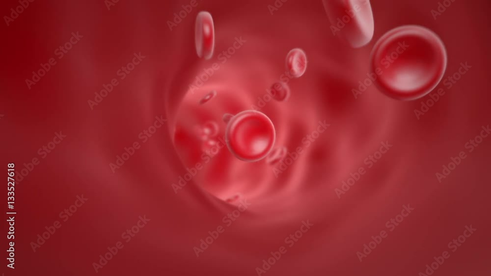 Circulation of blood in the arteries, 3d animation. Seamless loop, full ...
