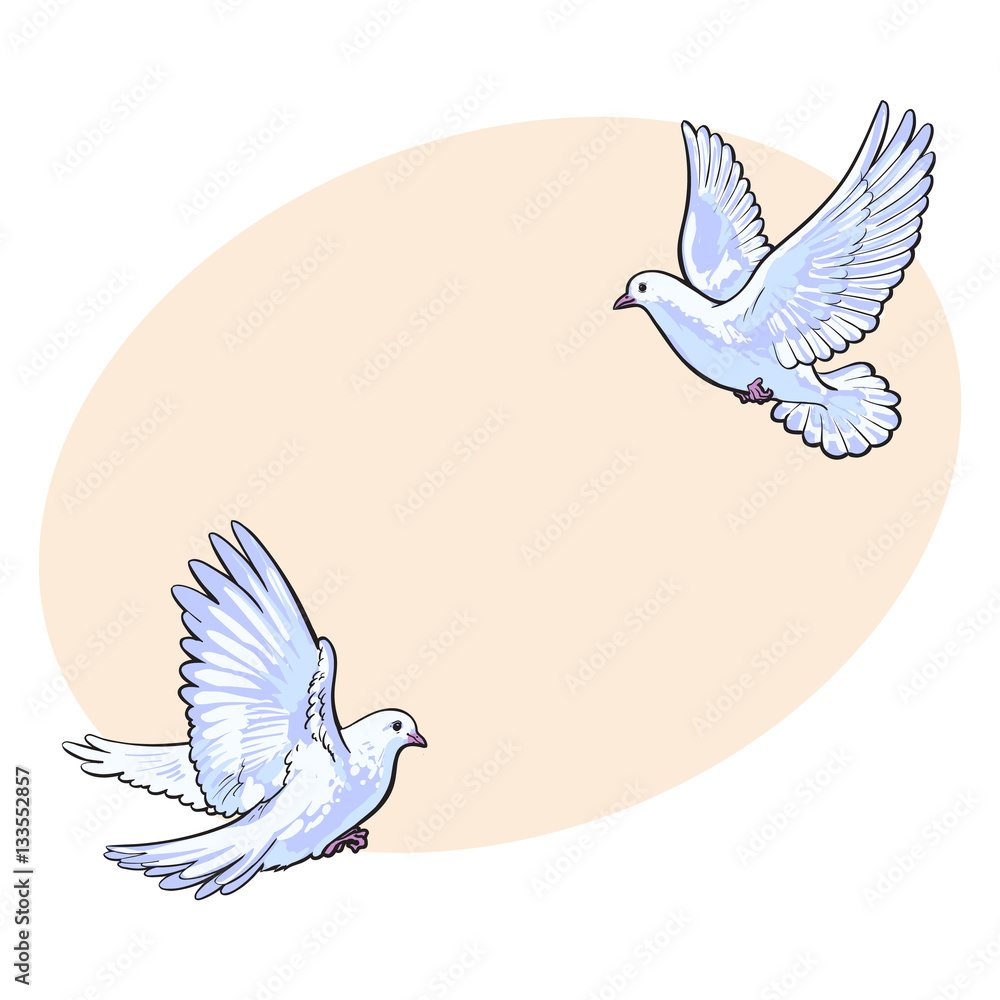 Two free flying white doves, sketch vector illustration isolated on ...
