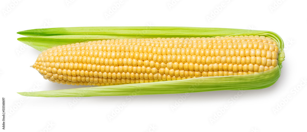 Ear of corn isolated on a white Stock Photo | Adobe Stock