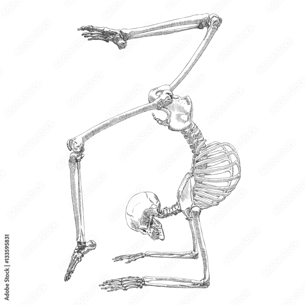 Skeleton Doing Sport