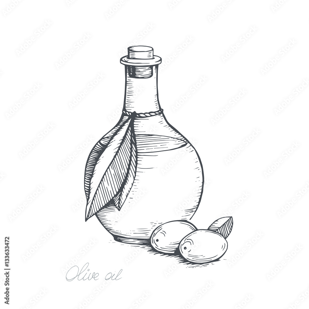 Hand drawn bottle olive oil. Vector sketch illustration. Stock Vector ...