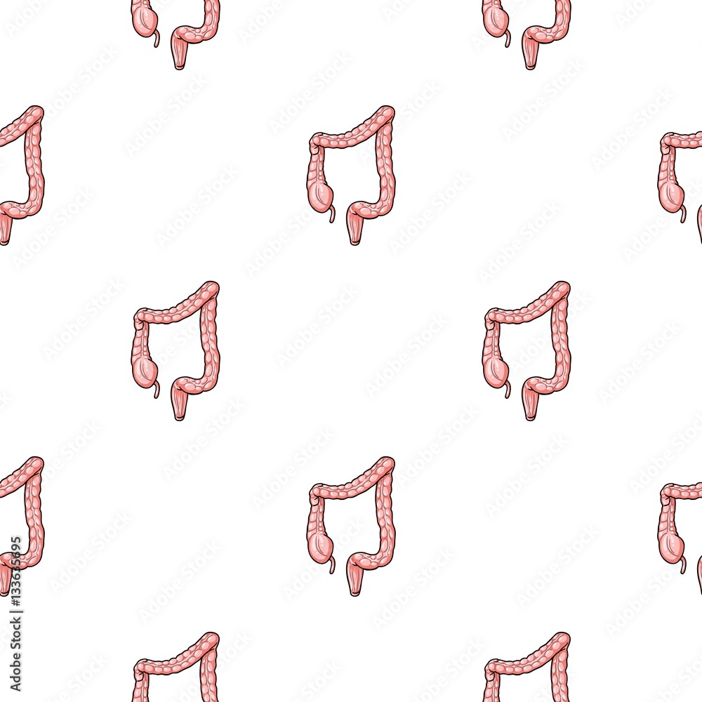 Human large intestine icon in cartoon style isolated on white ...