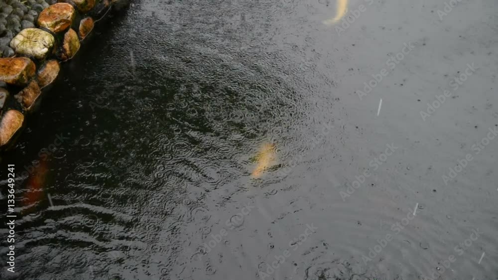 the famous attraction of west lake in Hangzhou - "Fish Viewing at the ...