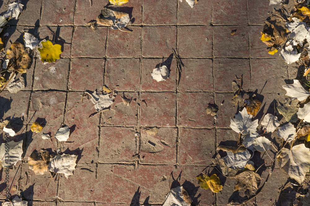 Natural stamped concrete pavement texture outdoor flooring with leaves ...