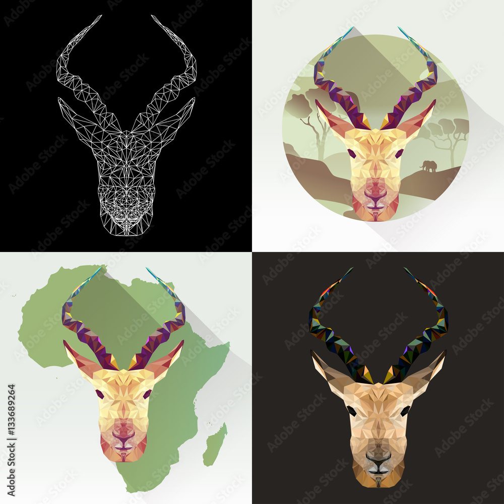 Springboks Wallpaper